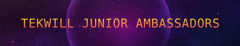 Tekwill.Online